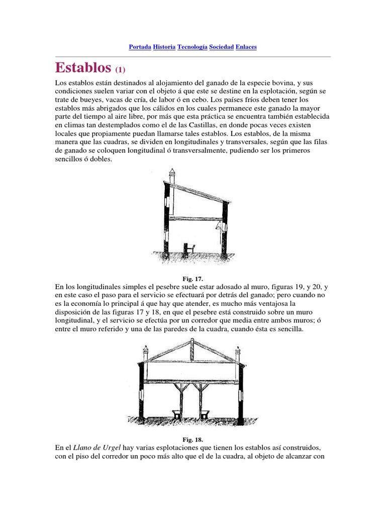 Diseño de Establos para Ganado Bovina | PDF | Vacas | Oveja