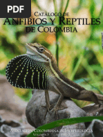 Rana Nodriza Niputidea (Allobates Niputidea) NaturaLista Colombia | PDF