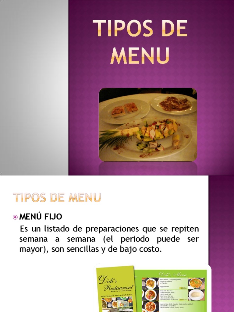Tipos de Menu PDF | PDF