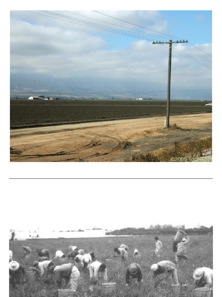 Of Mice and Men Gallery Walk Pictures | PDF