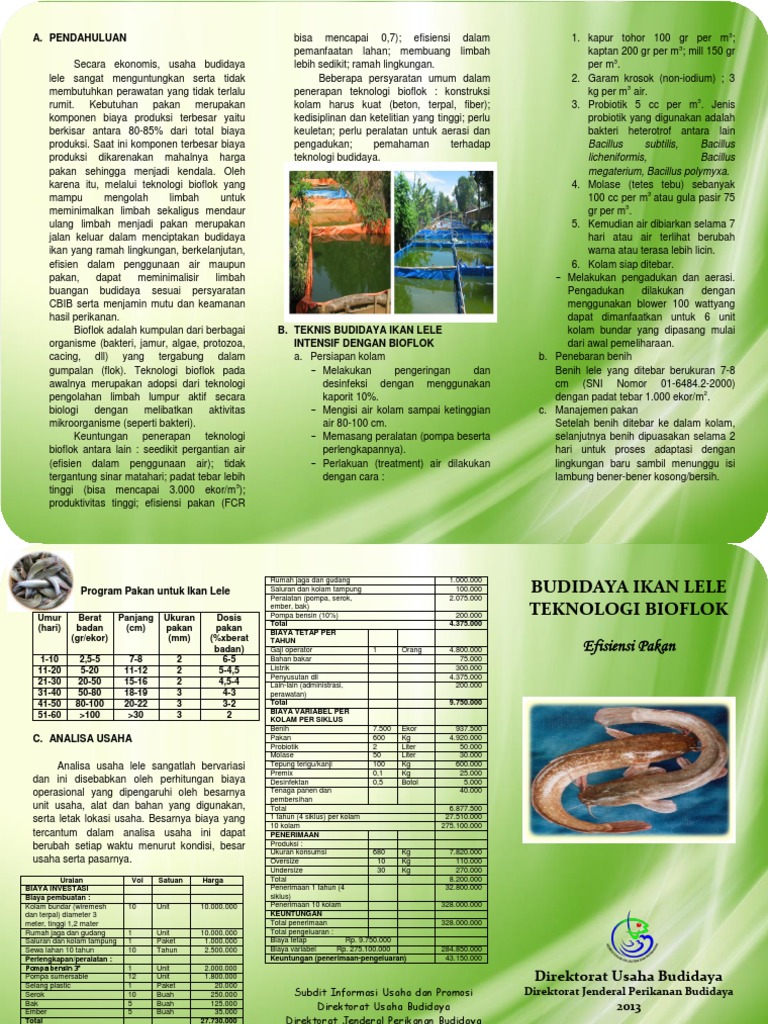 Leaflet Budidaya Ikan Lele Teknologi Bioflok | PDF