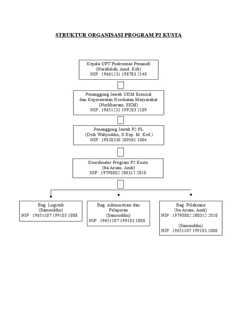 Struktur Organisasi Program P2 Kusta | PDF