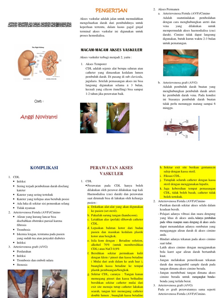 Leaflet Akses Vaskuler | PDF