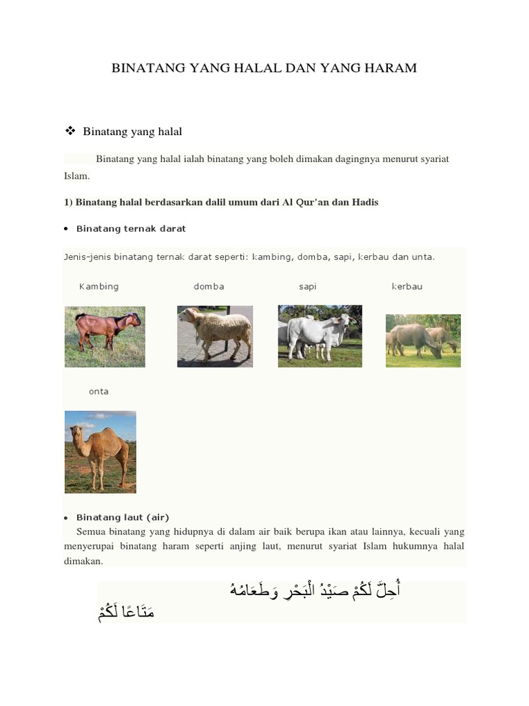 Binatang Yang Halal Dan Yang Haram | PDF