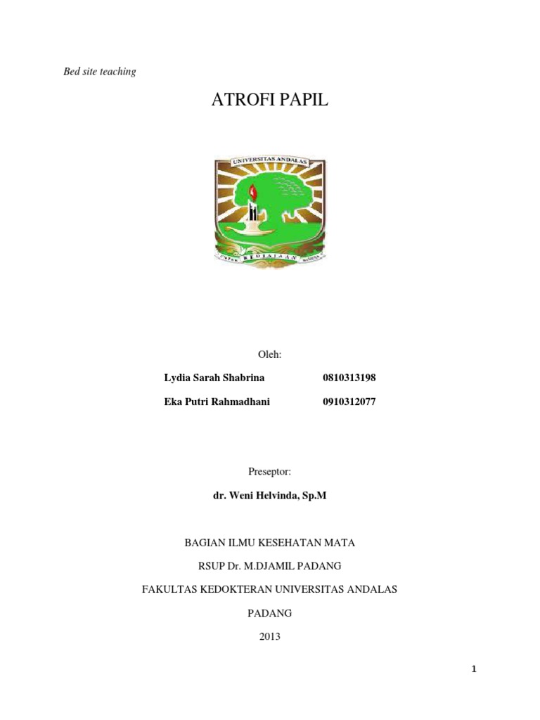 Atrofi Papil Saraf Optikus: Tinjauan Klinis | PDF