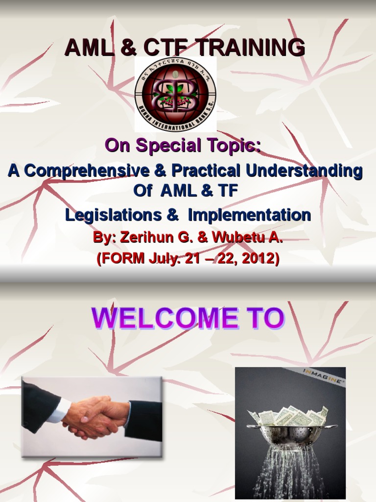 Aml Training | PDF | Money Laundering | Economies