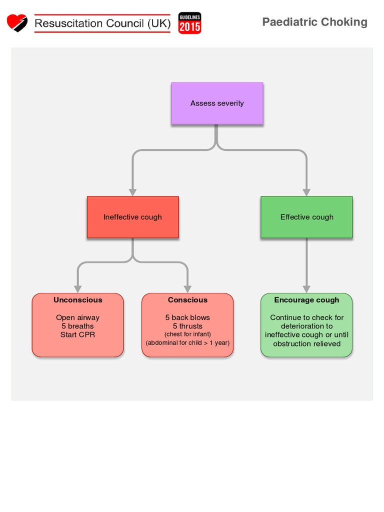 G2015 Paediatric Choking Treatment | PDF