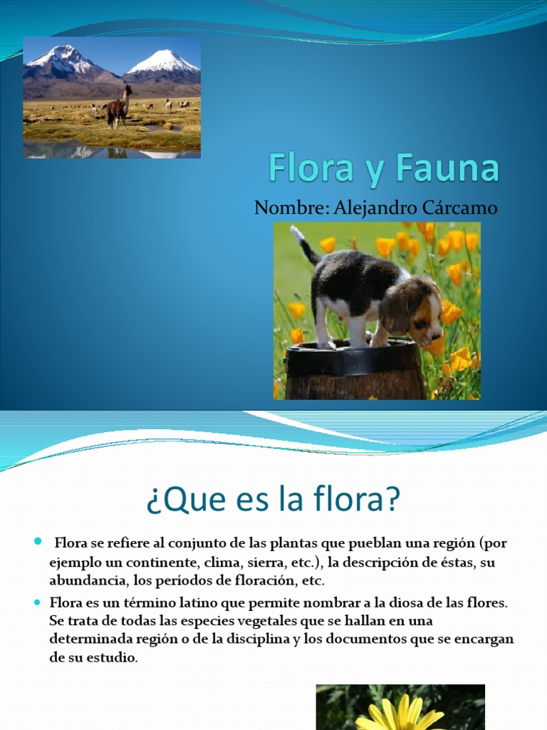 Definición de Flora y Fauna | PDF