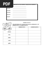 Guía de Ortografía: Uso de MB y NV | PDF