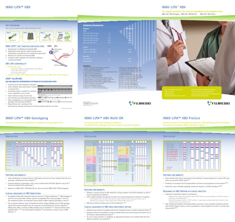 Inno-Lipa HBV Brochure 0 | PDF | Hepatitis B | Hepatitis