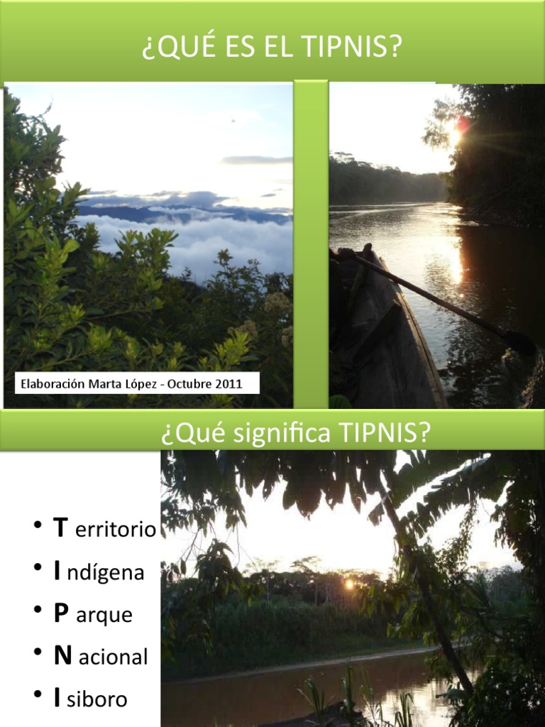 Que Es El Tipnis | PDF | Gente indígena | Los bosques