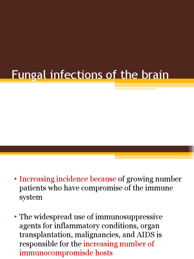 Fungal Infections of The Brain | PDF | Eukaryotes | Candidiasis
