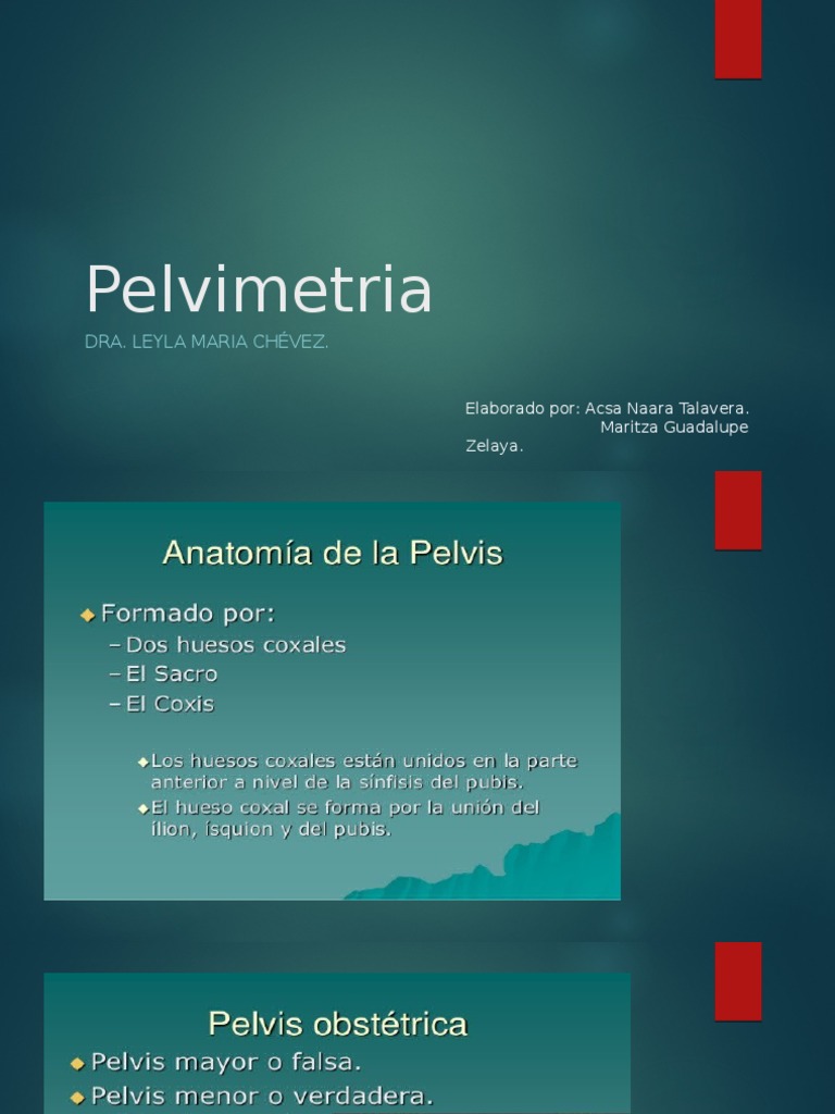 Pelvimetría: Medición y Tipos de Pelvis | PDF | Pelvis | Sistema ...