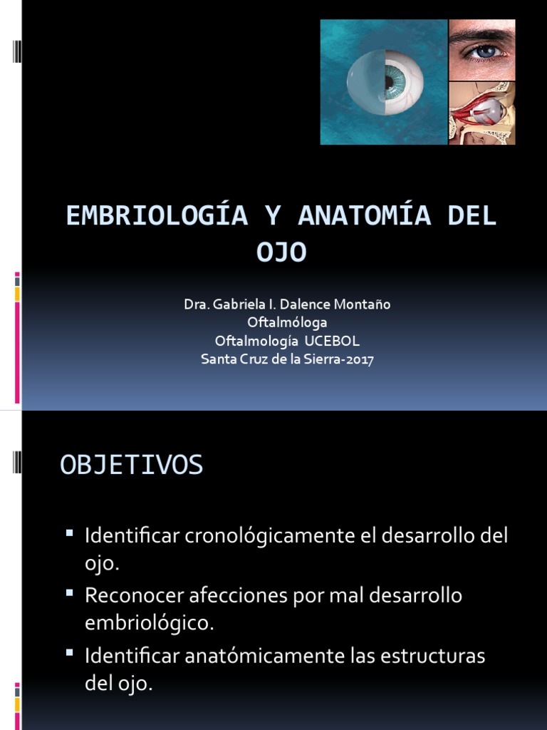 Embriología Del Ojo | PDF | Ojo humano | Órganos sensoriales