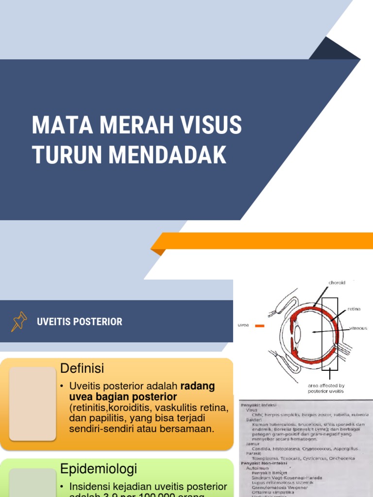 Mata Merah Visus Turun | PDF