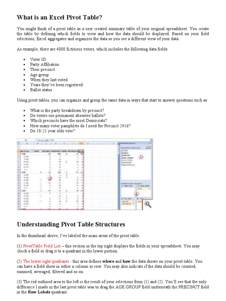 Understanding Excel Pivot Tables | PDF | Microsoft Excel | Computer Data