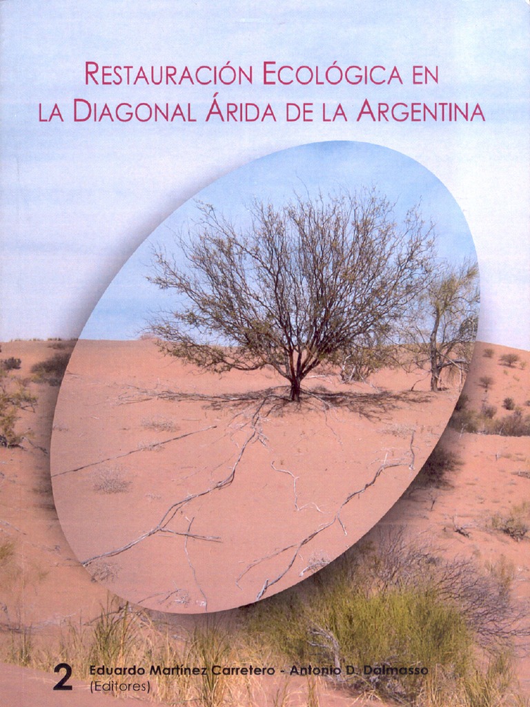 Diagonal AridaII | PDF | Los bosques | Estadísticas