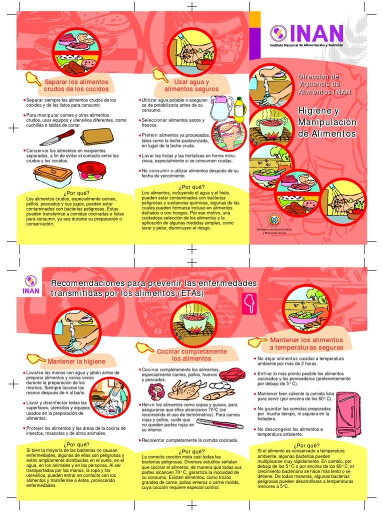 triptico-higiene.pdf | Carne | Alimentos