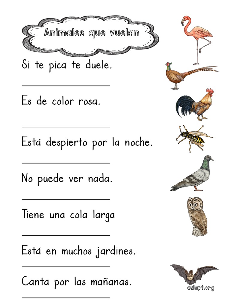 Animales Que Vuelan Comprensión Lectora Frases PDF | PDF | Artes del ...