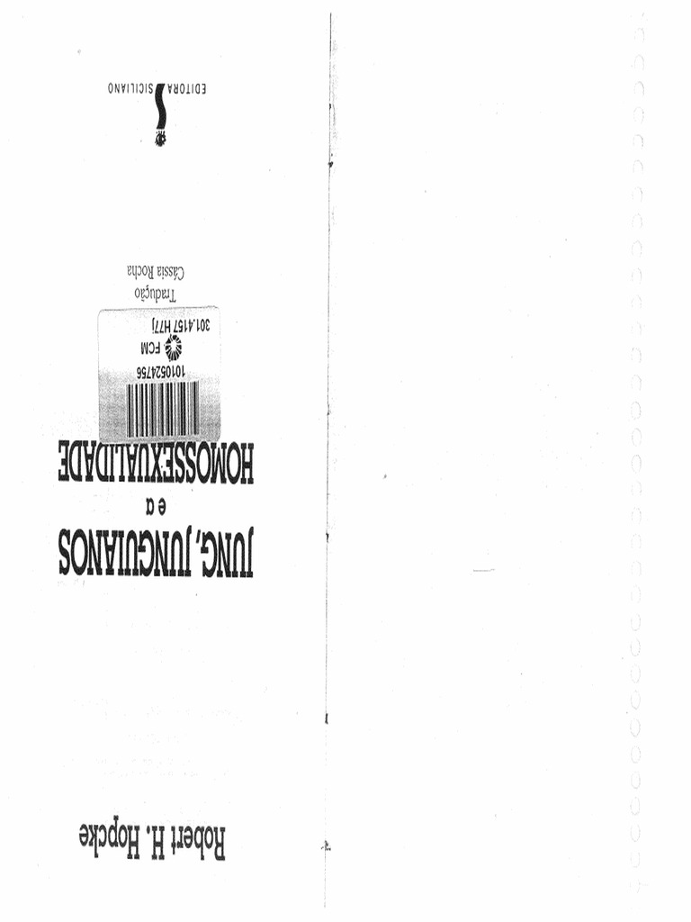 Robert Hopcke - Jung, Junguianos e A Homossexualidade PDF | PDF