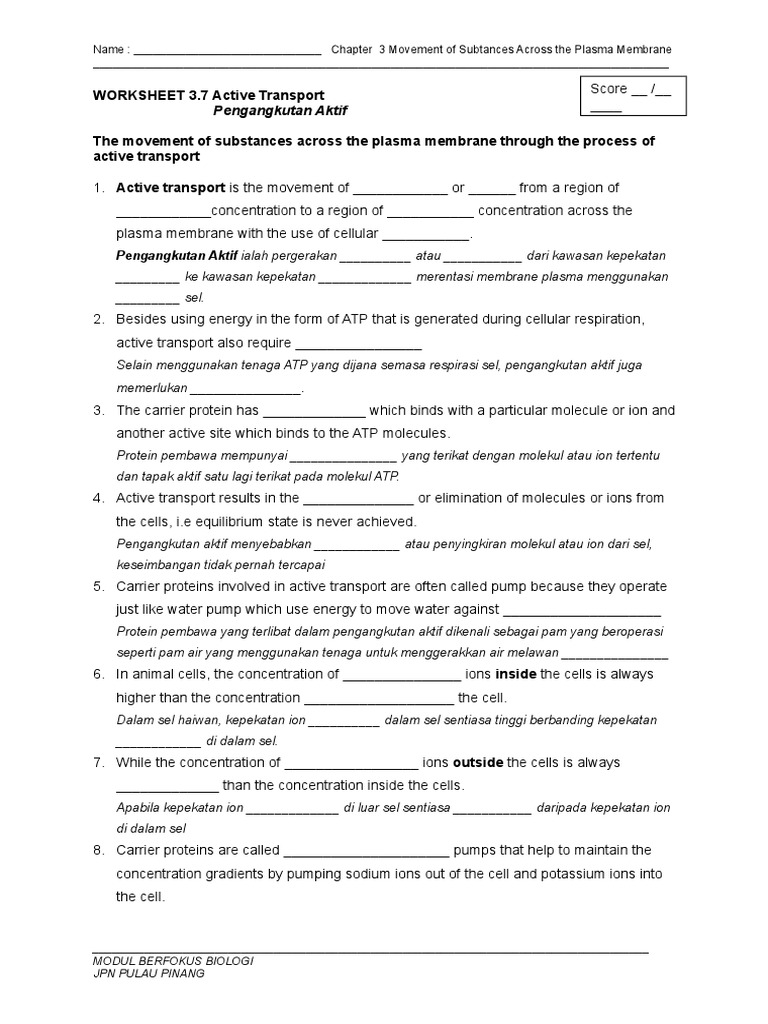 WORKSHEET 3.7 Active Transport | PDF | Sodium | Adenosine Triphosphate