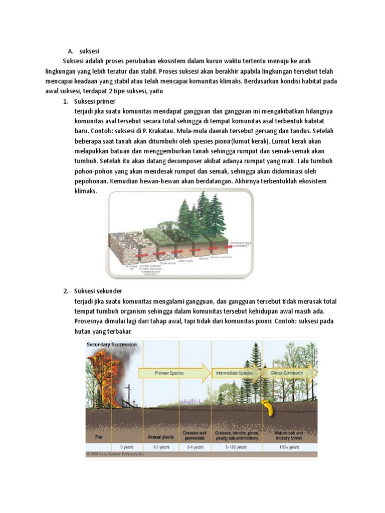 Proses Suksesi dalam Ekosistem | PDF