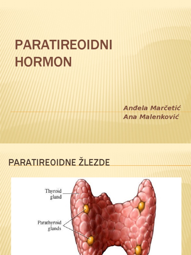 Paratireoidni Hormon | PDF