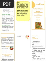 Triptico Lonchera Saludable | PDF | Alimentos | Nutrición