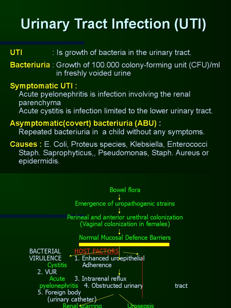 Urinary Tract Infection | PDF | Urinary Tract Infection | Epidemiology