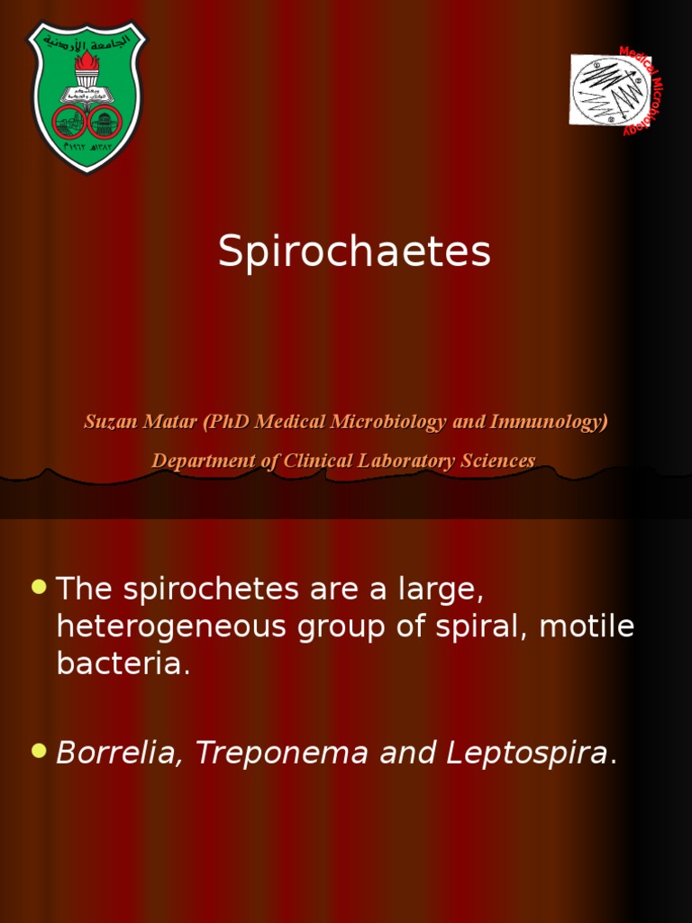 Spirochaetes: Suzan Matar (PHD Medical Microbiology and Immunology ...
