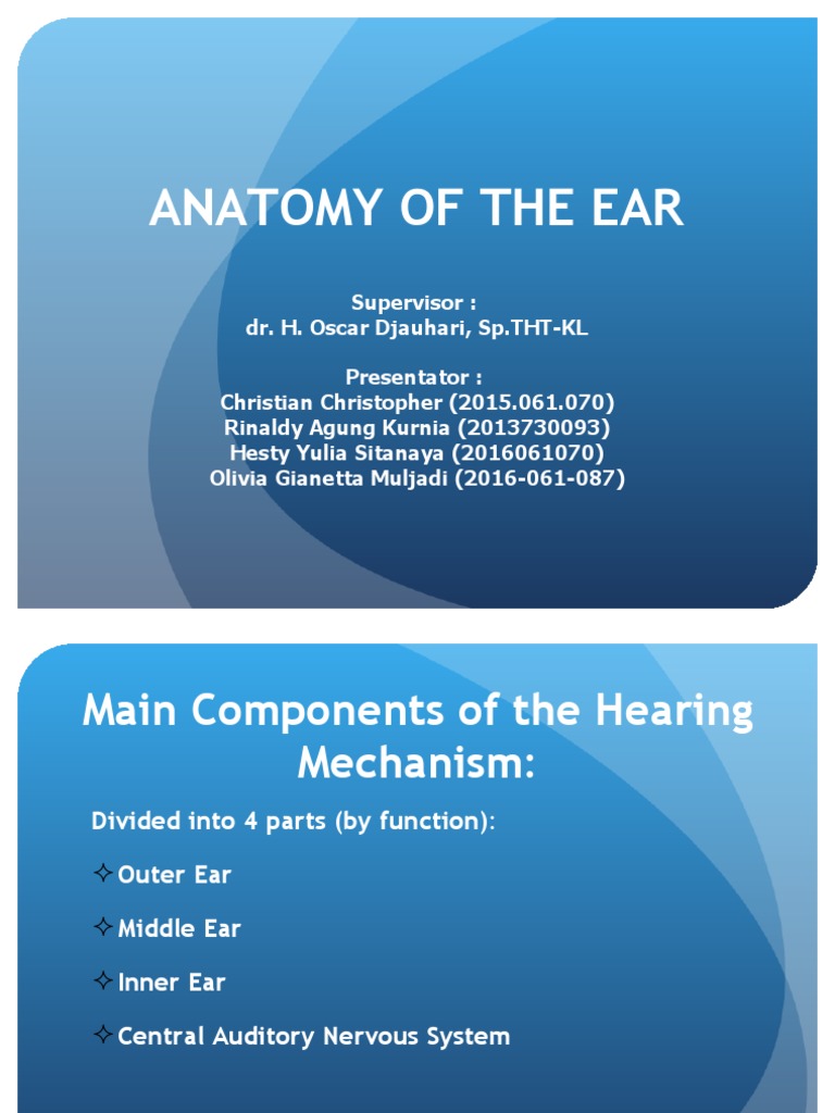 Sound Transmission in the Ear Anatomy | PDF | Ear | Auditory System