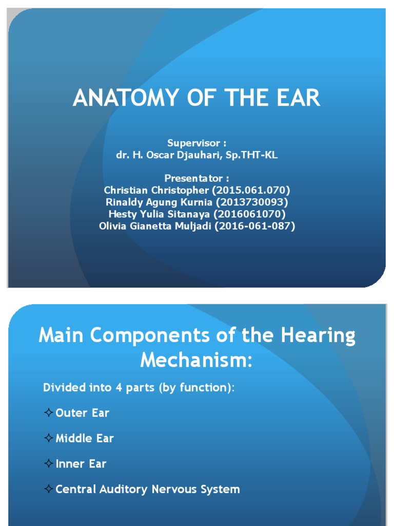 Anatomy Ear | PDF | Ear | Auditory System