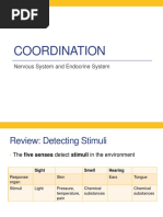 Coordination in Animals | PDF | Stimulus (Physiology) | Nervous System