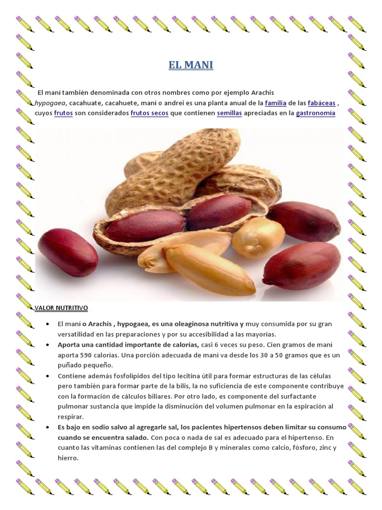 El MANI | PDF | Miseria | Nutrición