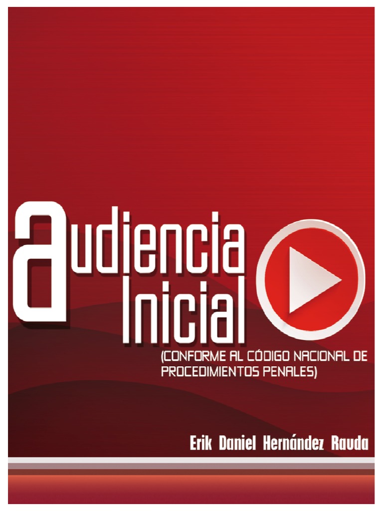 Audiencia Inicial - Erik Rauda PDF | PDF
