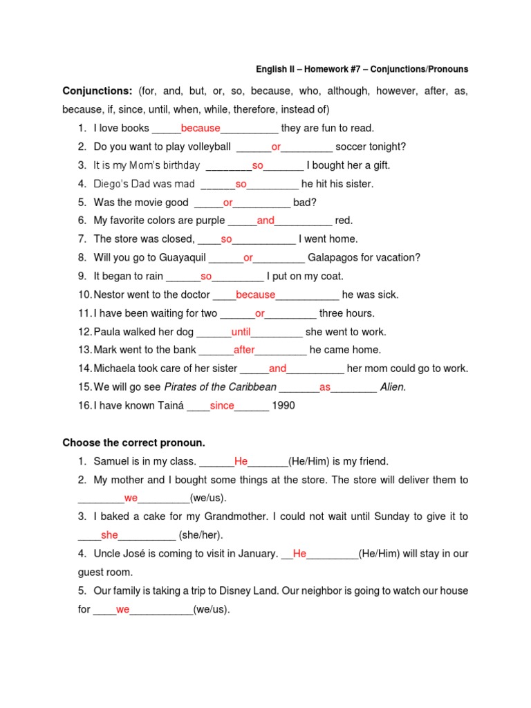 Conjunctions and Pronouns Practice | PDF