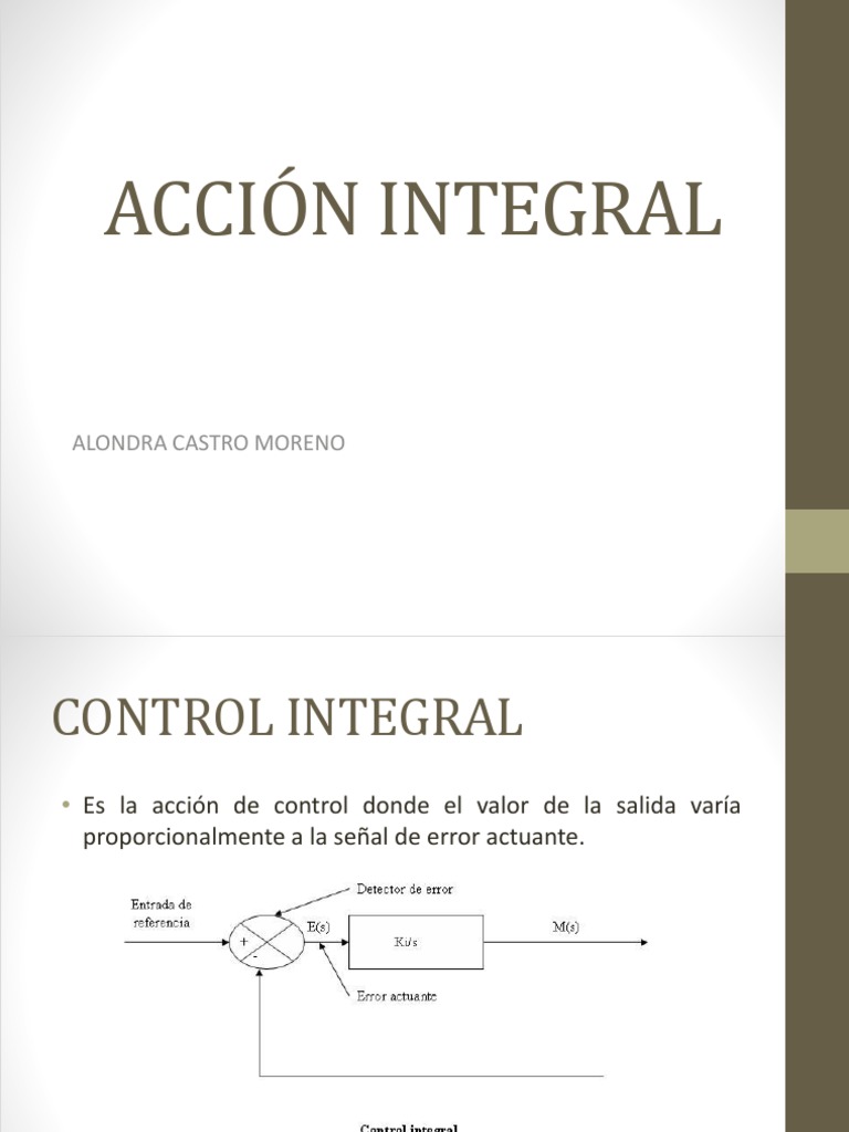 Acción Integral | PDF