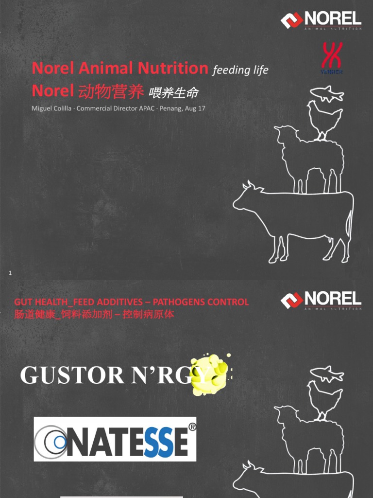 Animal Nutrition - Norel | PDF | Vaccines | Immunology