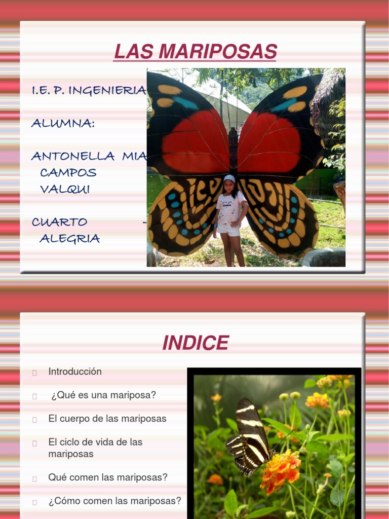 Las Mariposas: I.E. P. Ingenieria Alumna: Antonella Mia Campos Valqui ...