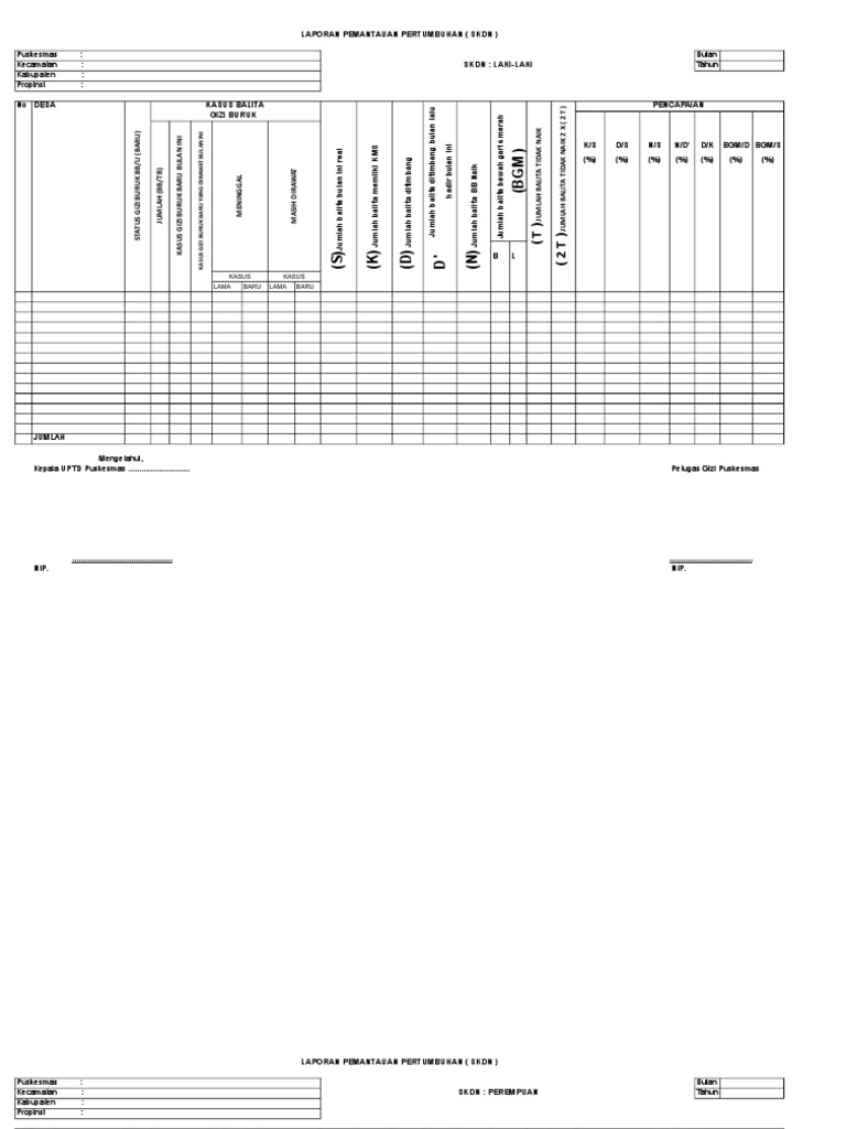Format Laporan SKDN Tahun 2013 | PDF