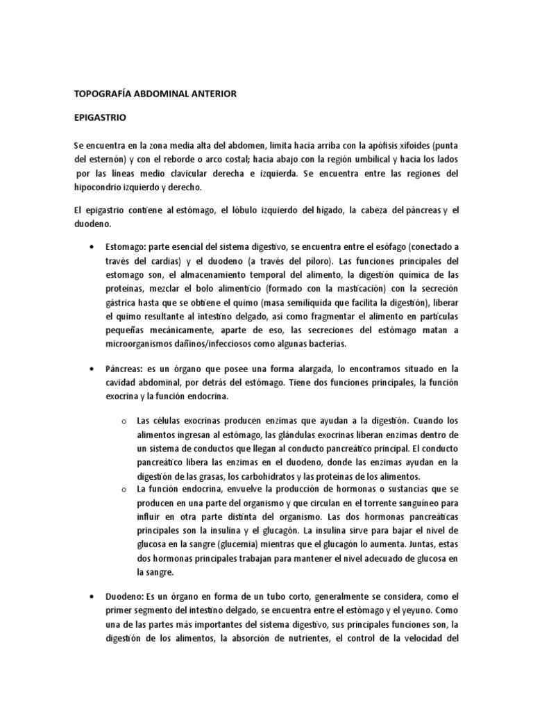 Epigastrio | PDF | Digestión | Páncreas