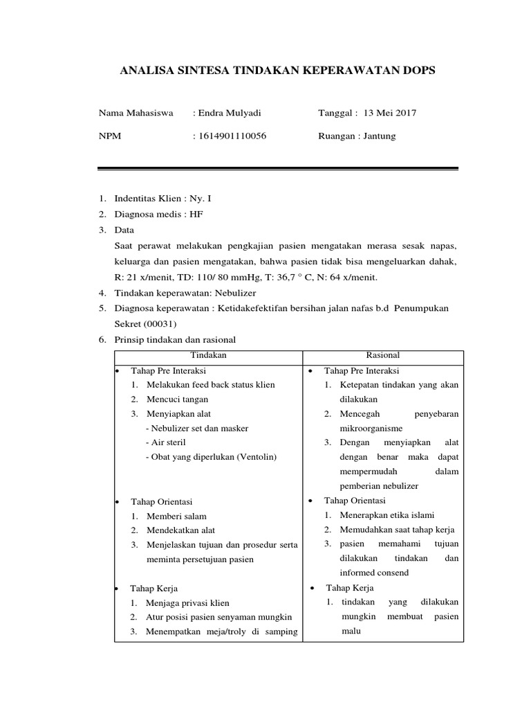 Dops Nebulizer | PDF