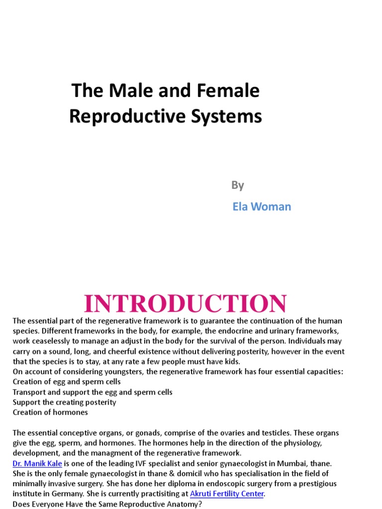The Male and Female Reproductive Systems | PDF | Testicle | Reproduction