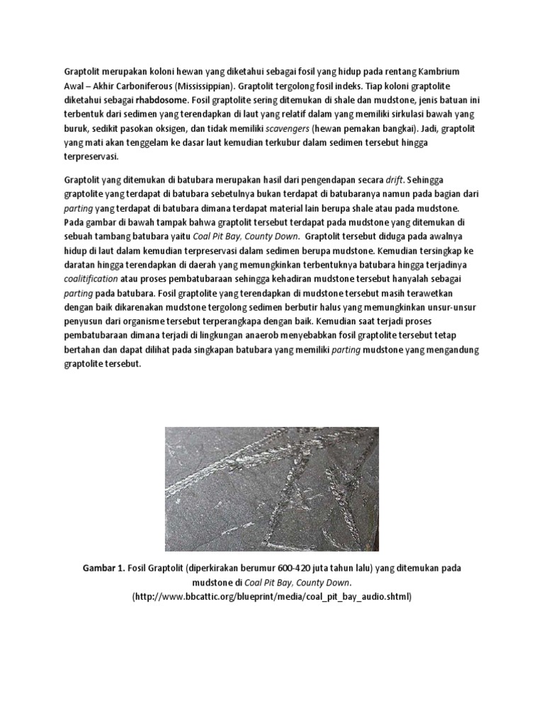 Fosil Graptolit di Mudstone Batubara | PDF