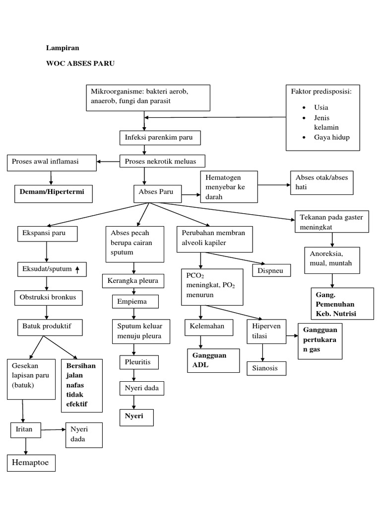 Tatalaksana dan Patofisiologi Abses Paru | PDF