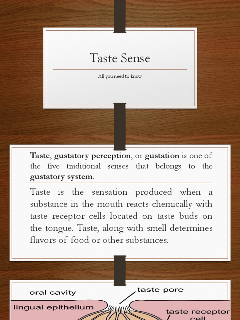 Taste Sense: All You Need To Know | PDF | Taste | Senses
