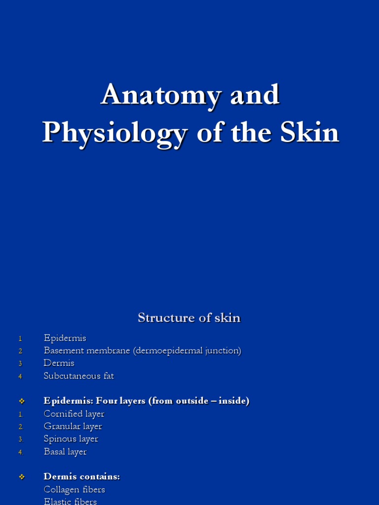Anatomy and Physiology of The Skin | PDF | Skin | Epidermis