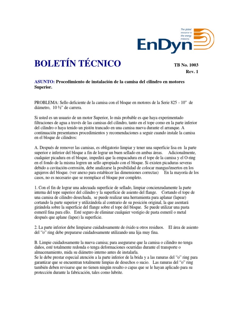 Reporte Tecnico Endyn Procedimiento de Instalación de La Camisa Del ...