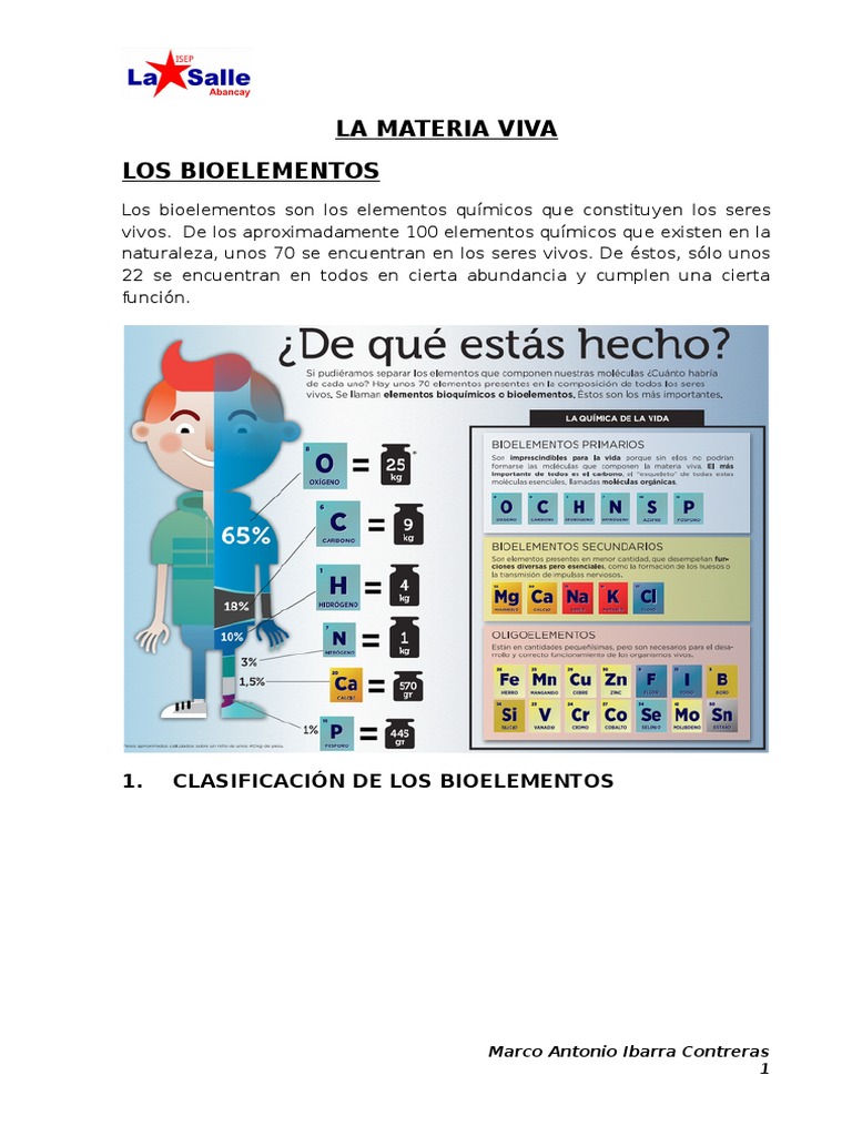 Folleto Los Bioelementos | PDF | Bioenergética | Moléculas