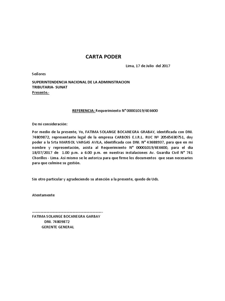 Carta Poder A Sunat | PDF